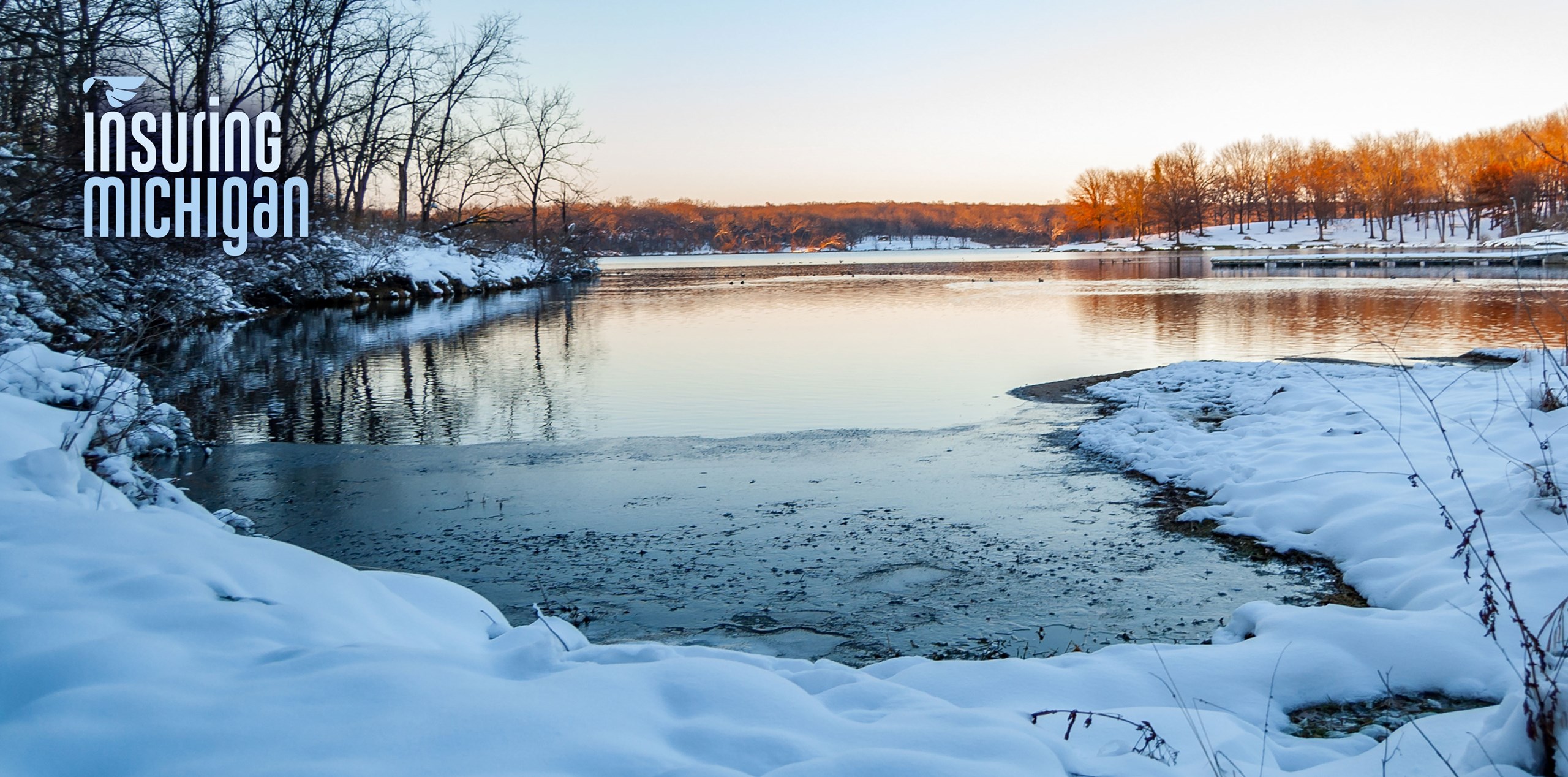 Pioneer State Mutual Insurance Company