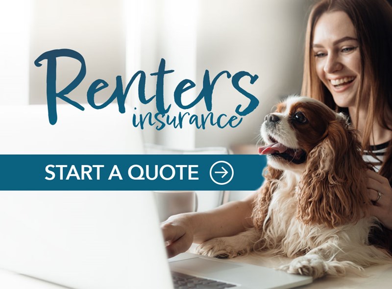 Pioneer State Mutual Insurance Company