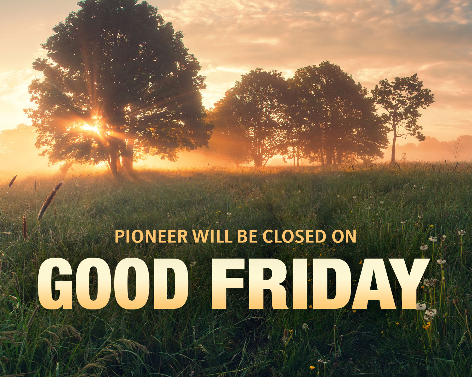 Pioneer State Mutual Insurance Company